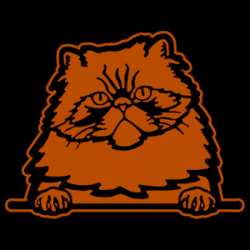 Colorpoint Persian Peeking 02 - StoneyKins