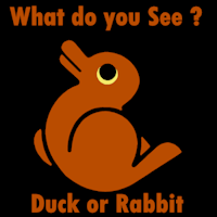 An Optical Illusion Bunny or a Duck - StoneyKins