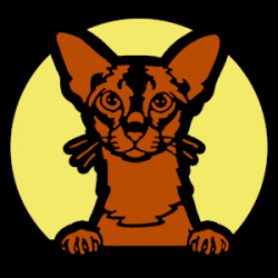 Colorpoint Shorthair Peeking 01 - StoneyKins