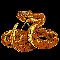 Rattler - StoneyKins