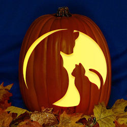 kitten pumpkin stencil