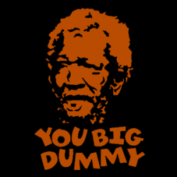 Fred Sanford You Big Dummy - StoneyKins