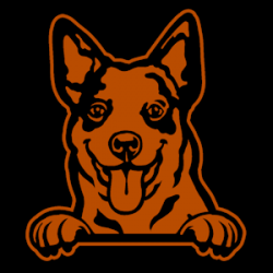 doge pumpkin stencil