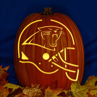 Carolina Panthers 09 CO - StoneyKins