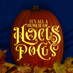 It's All a Bunch of Hocus Pocus CO - StoneyKins